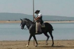 La Doma Vaquera: Disciplina Ecuestre Tradicional Española